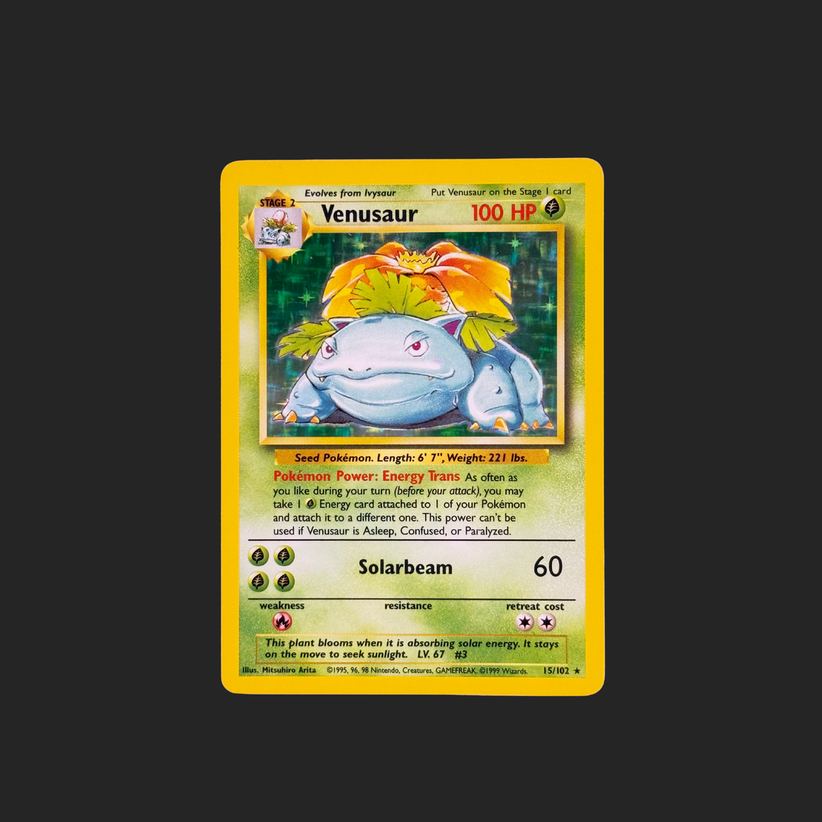 Venusaur Holo – Base Set 1999 | MNK Card Kingdom